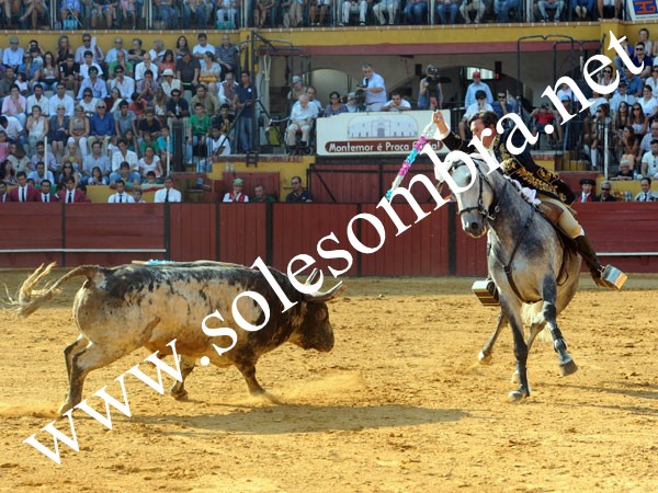 HOMENAGEM A JOSÉ MARIA CORTES EM IMAGENS - Sol e Sombra